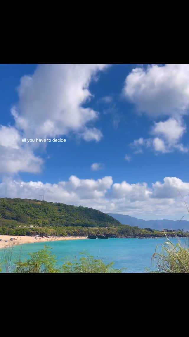 Orchid Family Oasis Suite - Kalani Hawaii
